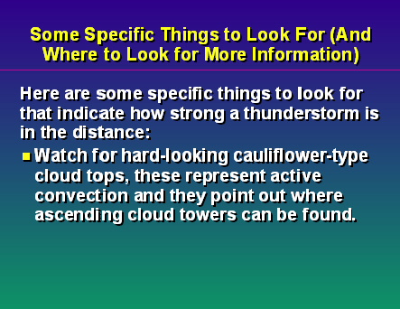 Some Specific Things to Look For (And Where to Look for More Information)